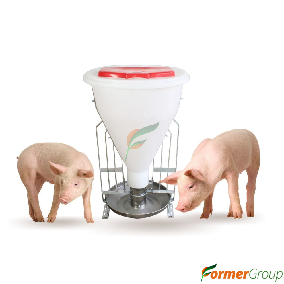 Comedero Cerdo Automático Tolva 100lt