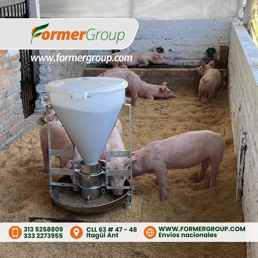 Comedero Cerdo Automático Tolva 30lt